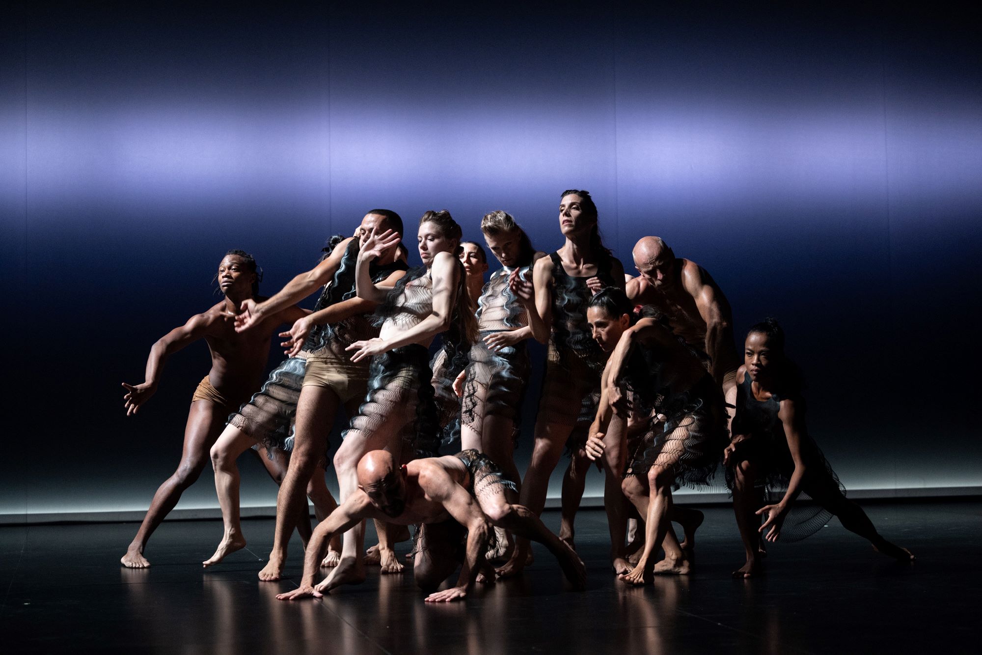 Radialsystem - Kreatur